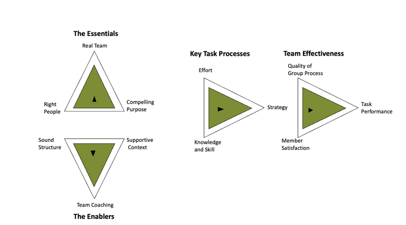 Becoming a More Disciplined CEO: The Role of Executive Team Builder